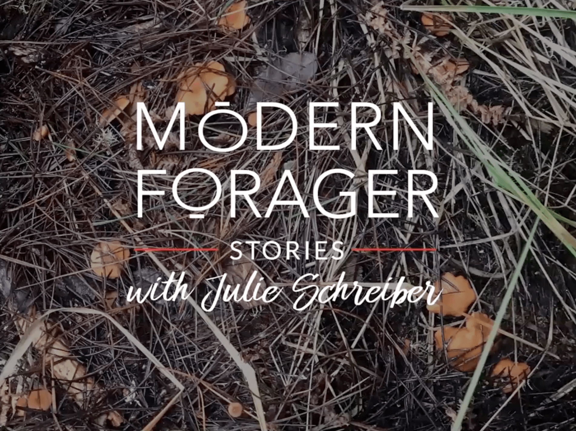 Webinar with Modern Forager - Julie Schreiber